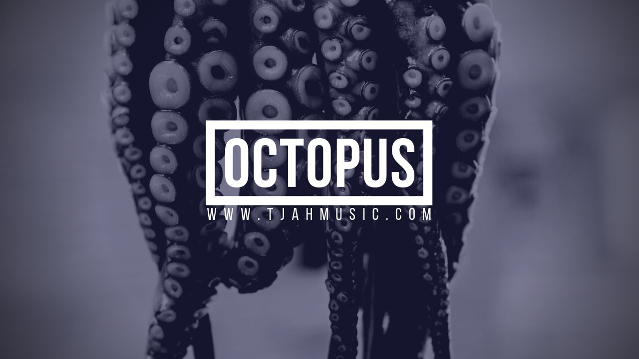 [Download Octopus instrumental] T-JAH MUSIC - French Beatmaker - Reggae ...